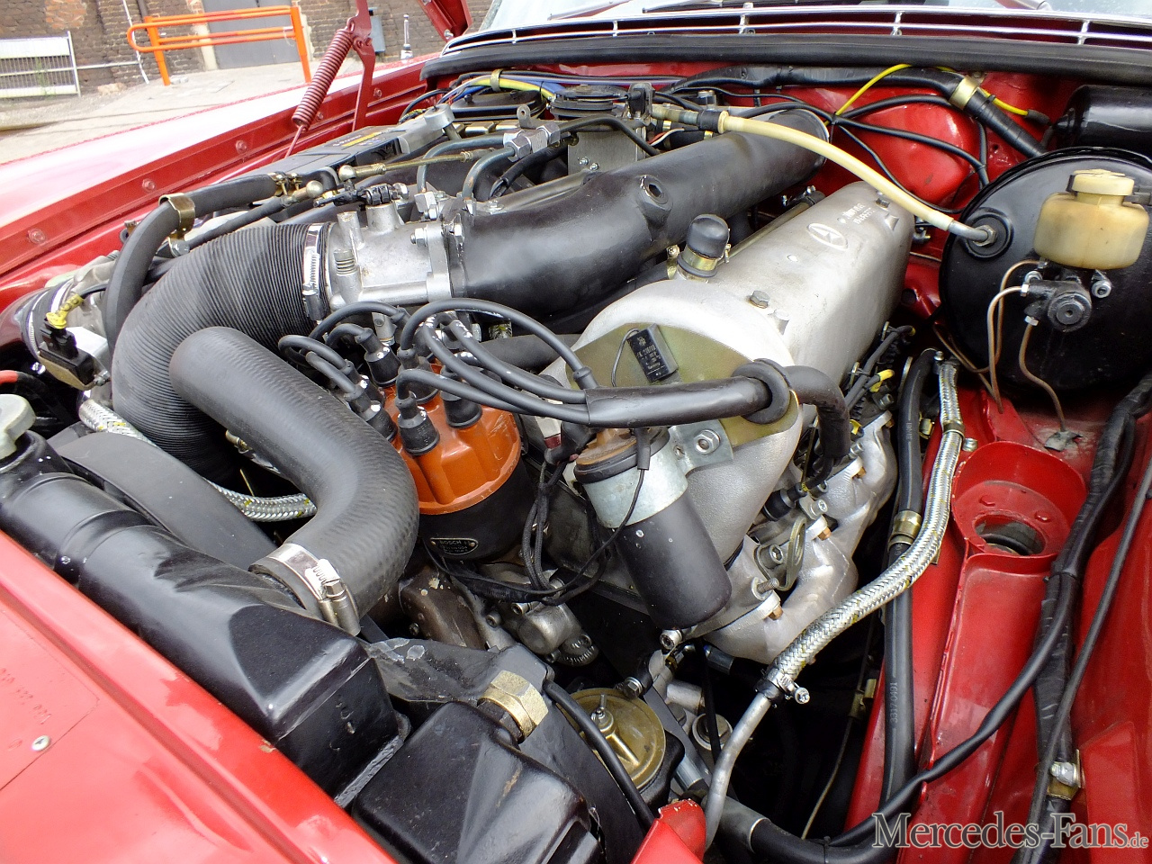 Die Rote Sau genießt ihren Legendenstatus: Mercedes-Benz 300 SEL AMG 6 ...